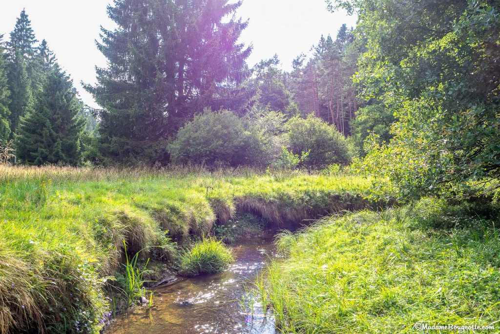 Mes 5 plus belles randonnées en Ardenne belge - Madame Bougeotte