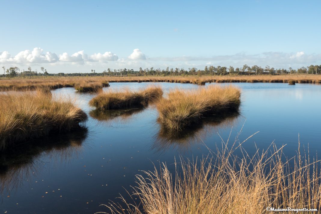 3 des plus belles balades en Flandre - Le nord de la Belgique autrement
